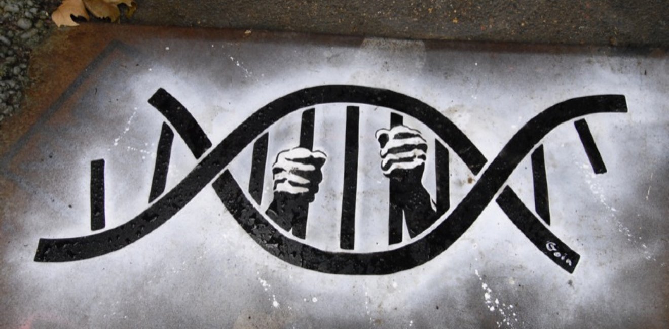 How Identity Evolves in the Age of Genetic Imperialism | Wilson Center