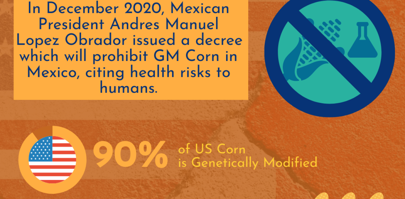 Infographic | Mexico, Genetically Modified Corn, and USMCA | Wilson Center